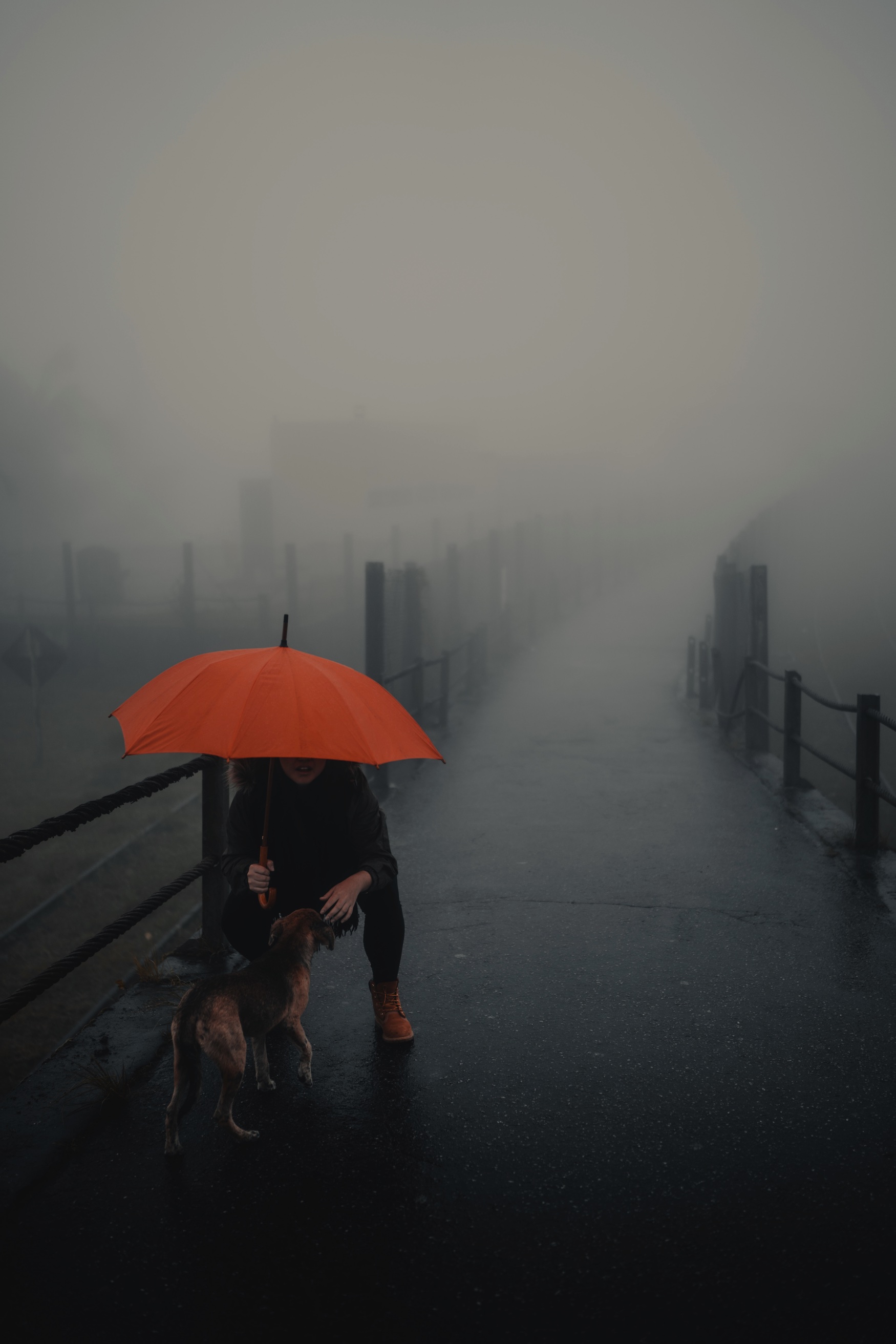 Adipiscing Semper Nislo – Nadine Schardt